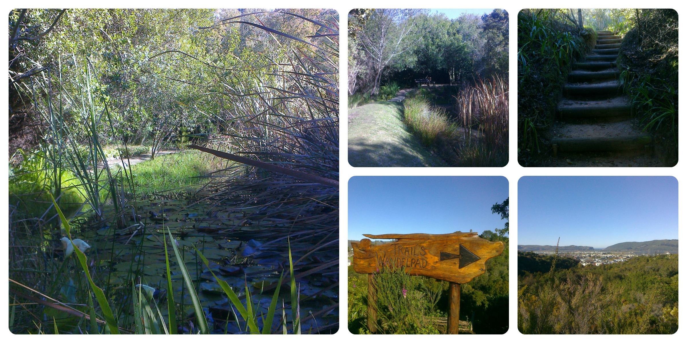 Pledge Nature Reserve, Knysna, Hope Villa Bed & Breakfast, The Heads